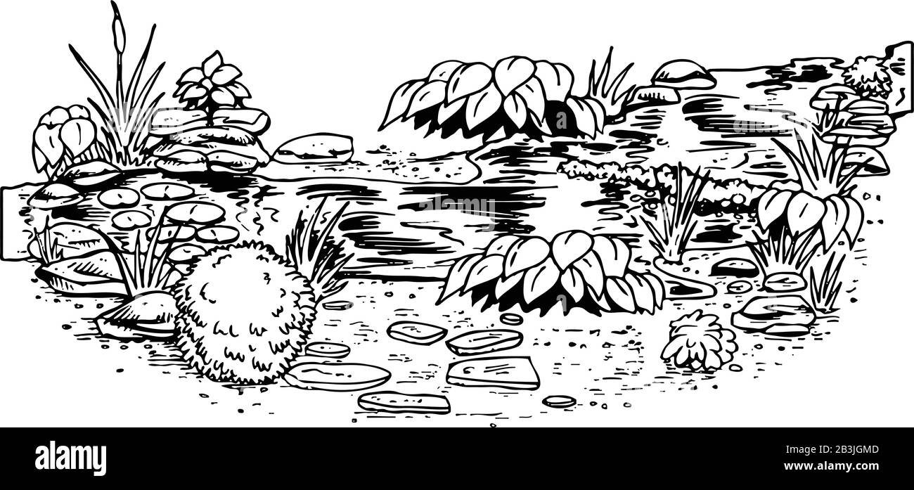 Creek Scene Vector Illustration Stock Vector Image & Art - Alamy