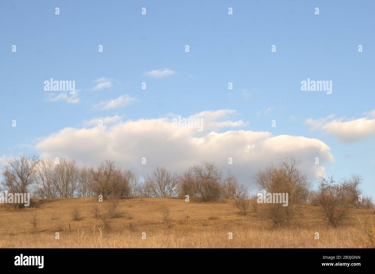 Scenic early spring landscape with golden hills, trees, blue sky, and ...