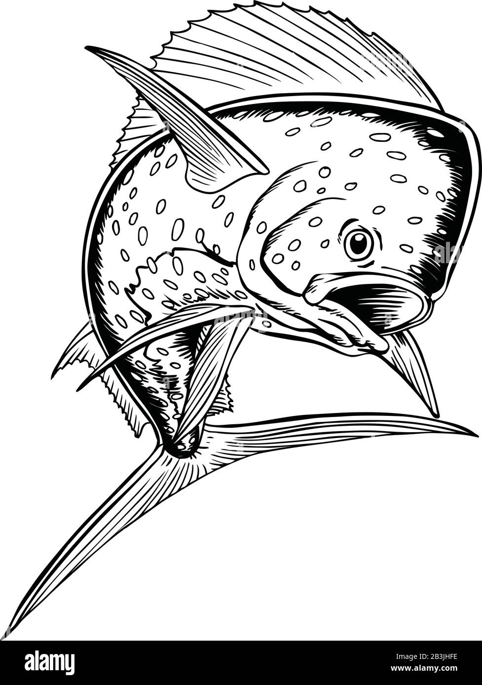 Dolphin Fish Vector Illustration Stock Vector Image & Art - Alamy