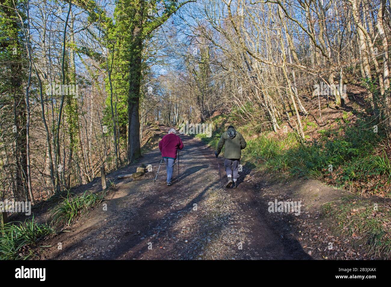Two elderly people walking ramblers on remote country lane road up a ...