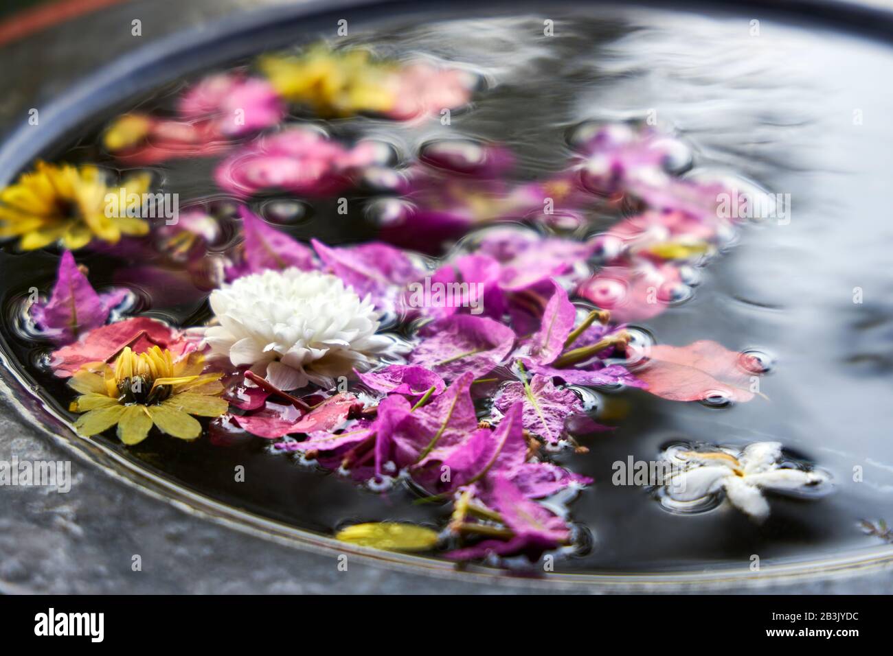 Different beautiful fresh flowers float on the surface of a bowl of ...