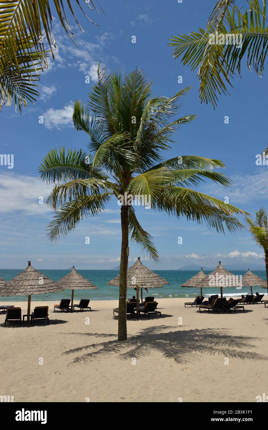 Strand meer palmen hi-res stock photography and images - Alamy