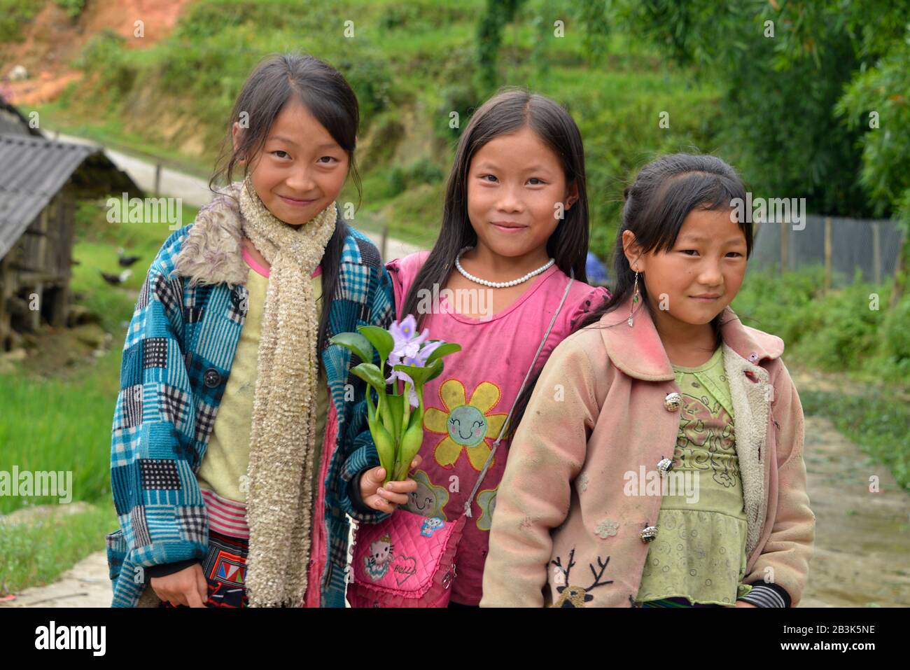 Maedchen, Rote Hmong, Tha Pin, Vietnam Stock Photo - Alamy