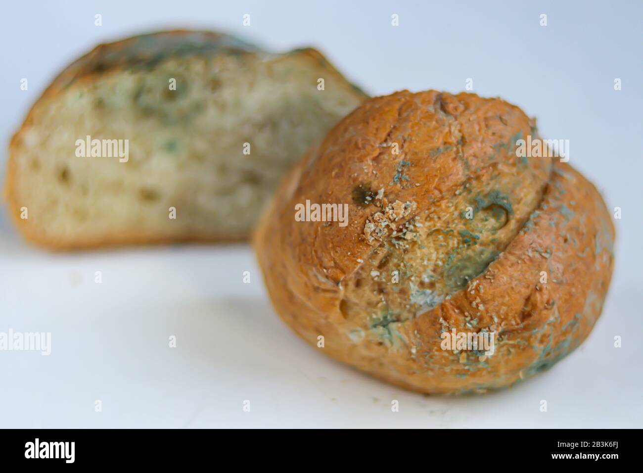 Slices of moldy bread. Rotten and nasty. Located on a white background ...
