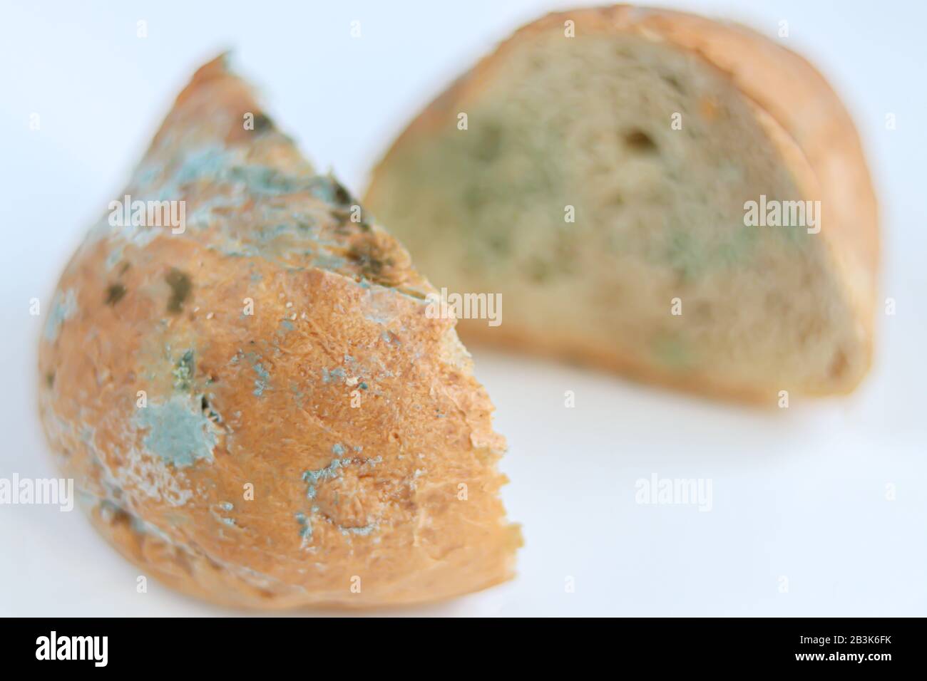 Slices of moldy bread. Rotten and nasty. Located on a white background ...