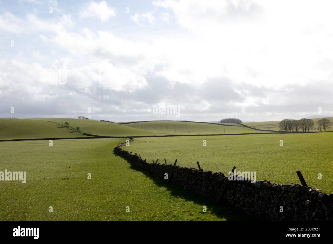 Rolling grass fields near Hellifield, Ribblesdale, Yorkshire Dales ...