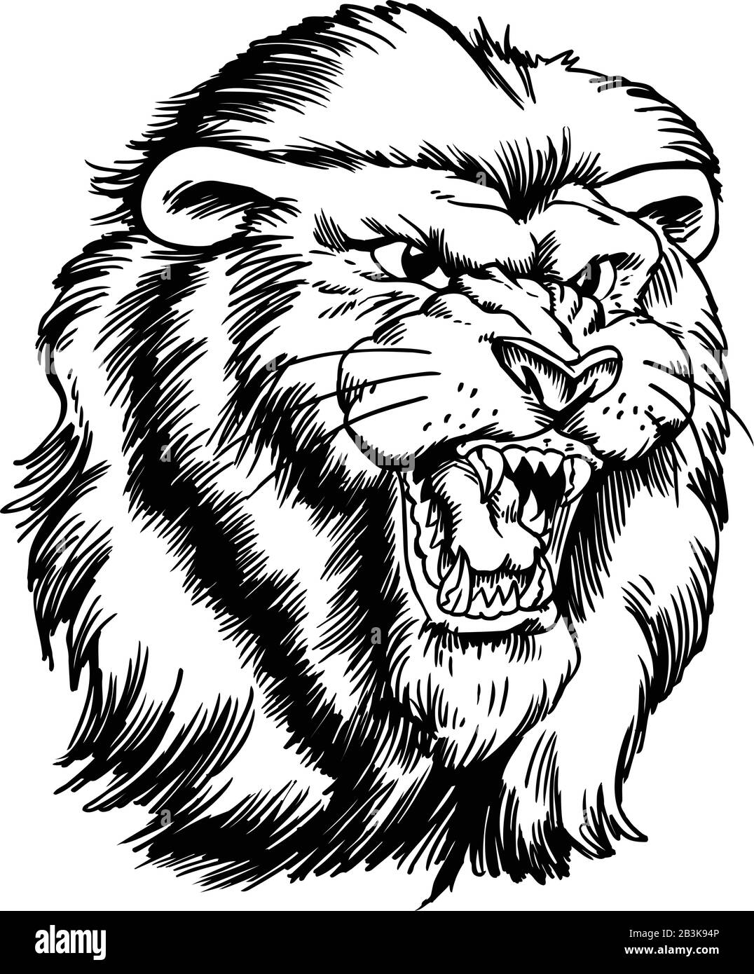 Cartoon lions head hi-res stock photography and images - Alamy