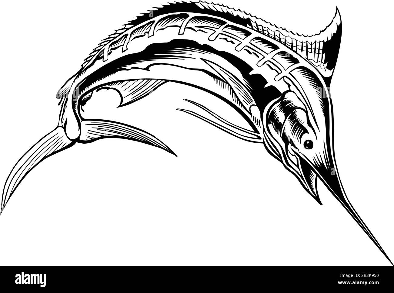 Marlin Jumping Vector Illustration Stock Vector Image & Art - Alamy