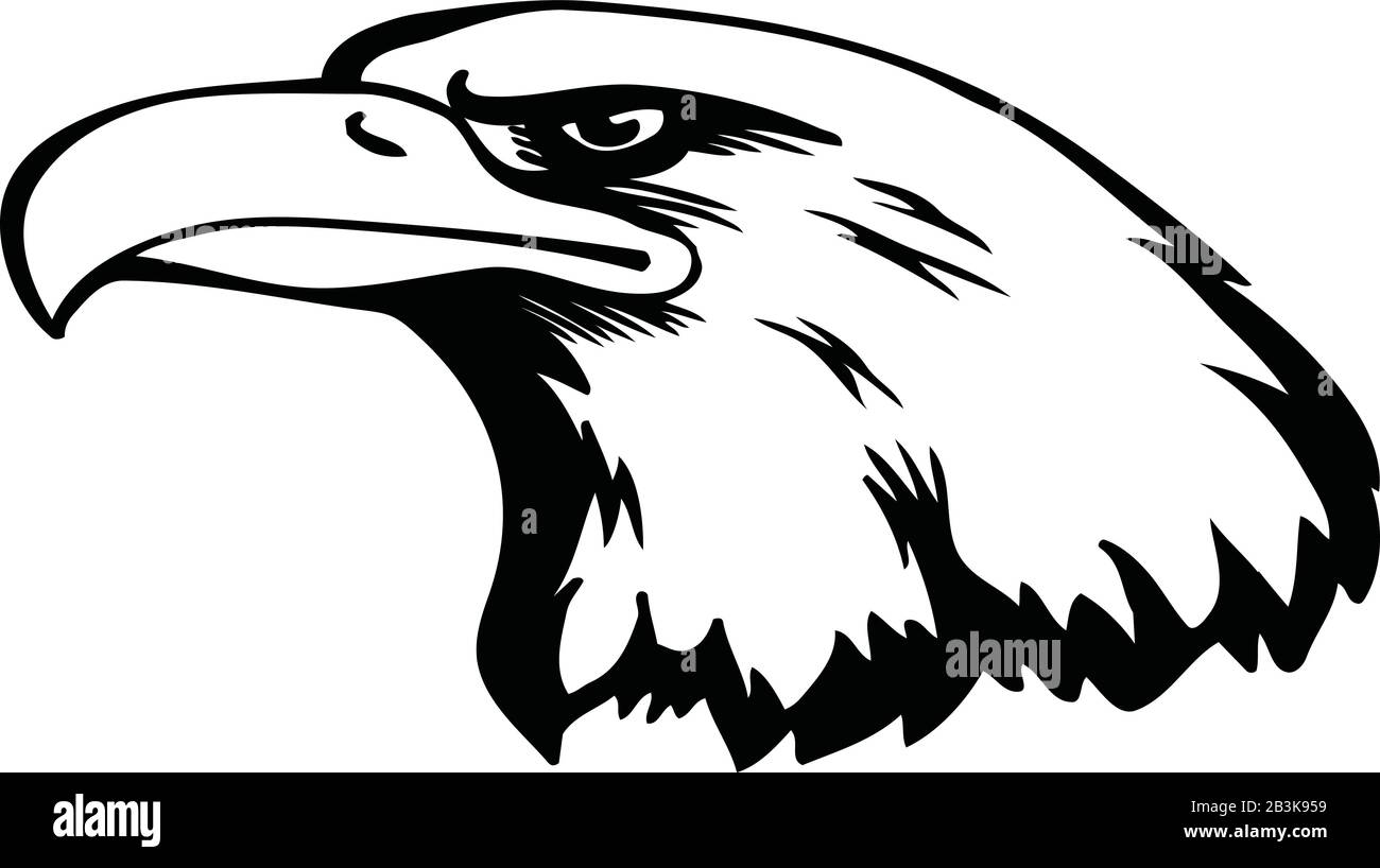 Eagle Head Vector Illustration Stock Vector Image & Art - Alamy