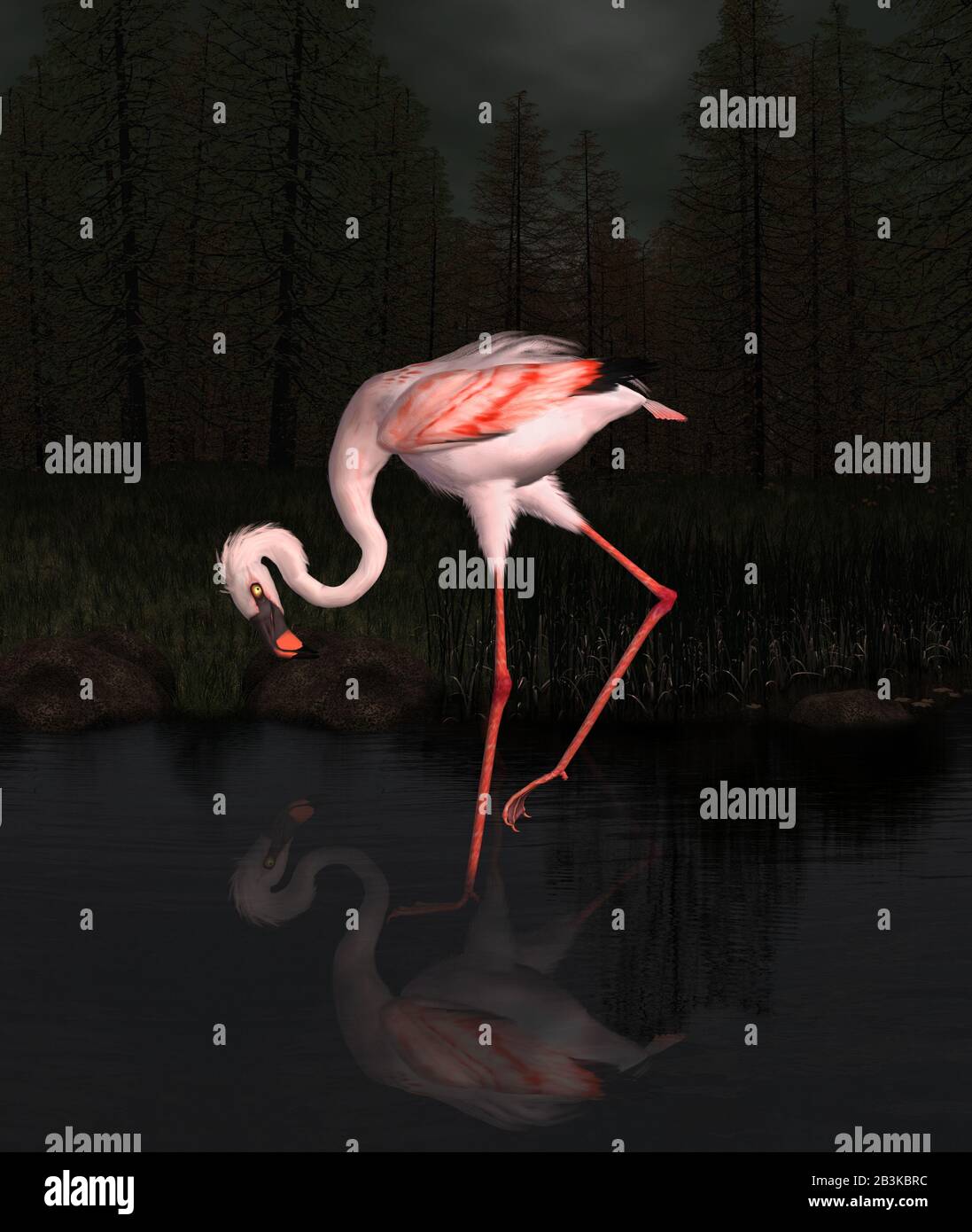 Pink flamingo isolated in a dark forest Stock Photo - Alamy