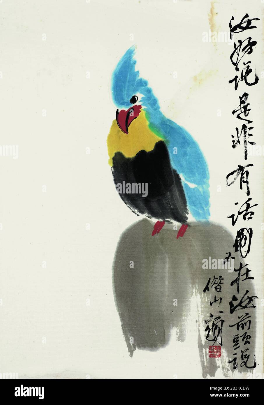 Qi bird hi-res stock photography and images - Alamy