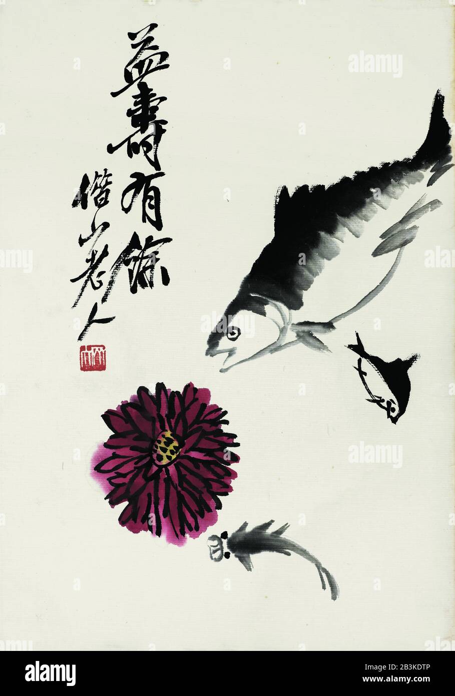 Qi bird hi-res stock photography and images - Alamy