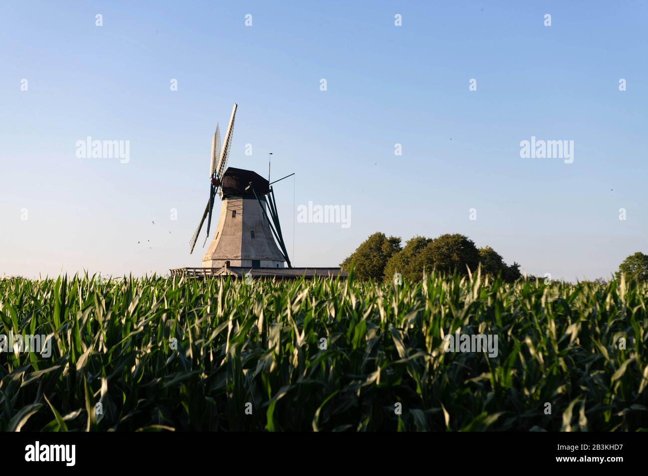 Historic dutch windmill stands hi-res stock photography and images - Alamy
