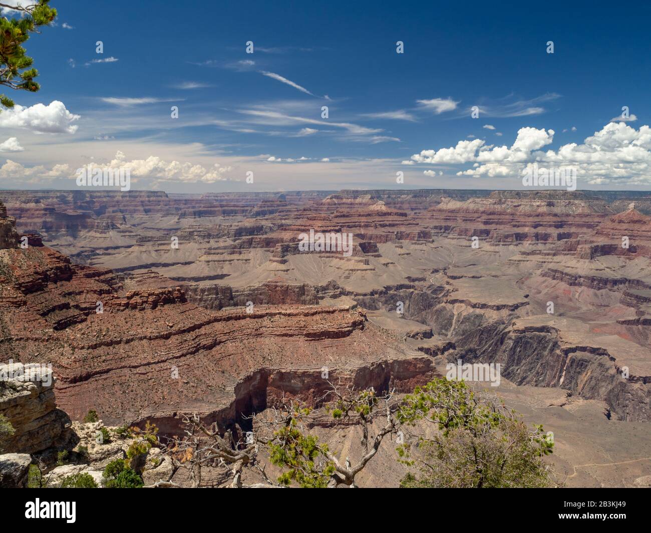 Grand Canyon National Park, South Rim, Arizona / Nevada, USA : [ Canyon ...