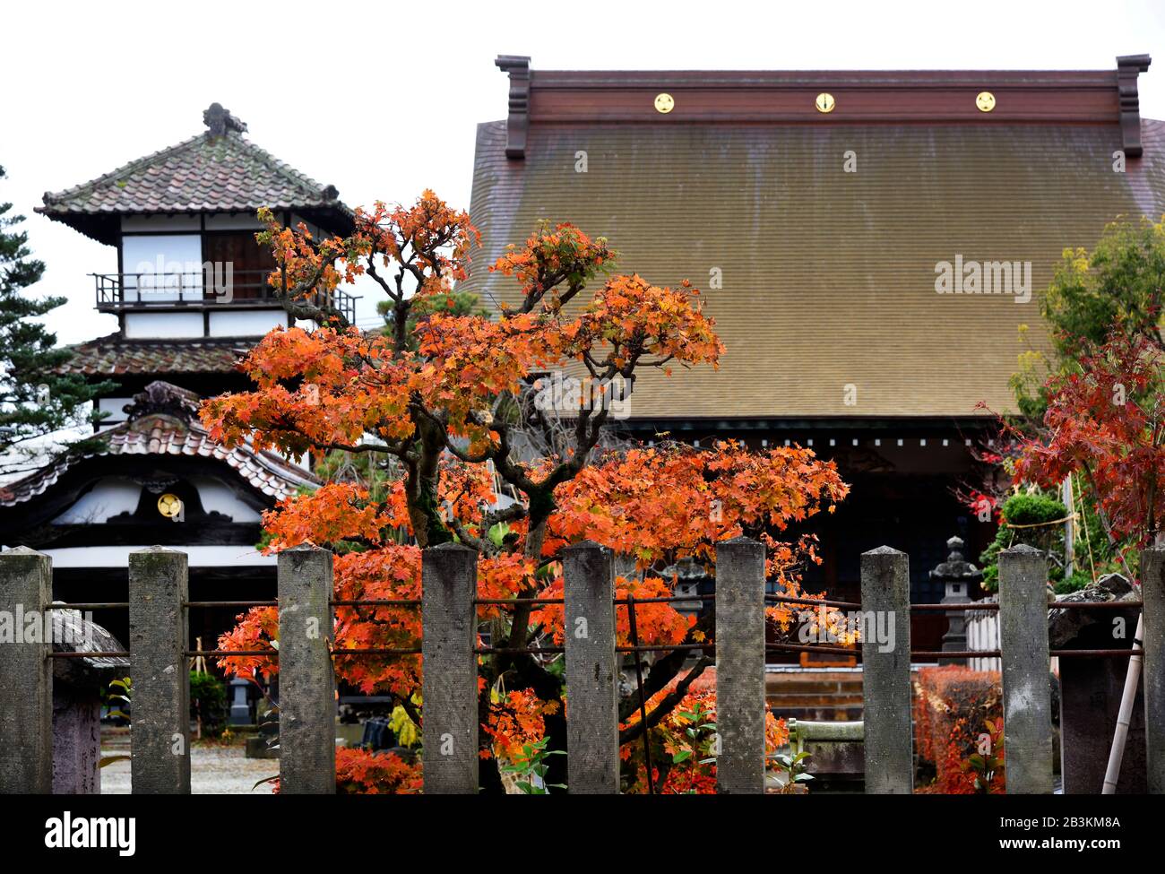 Local shrine Japan Stock Photo - Alamy