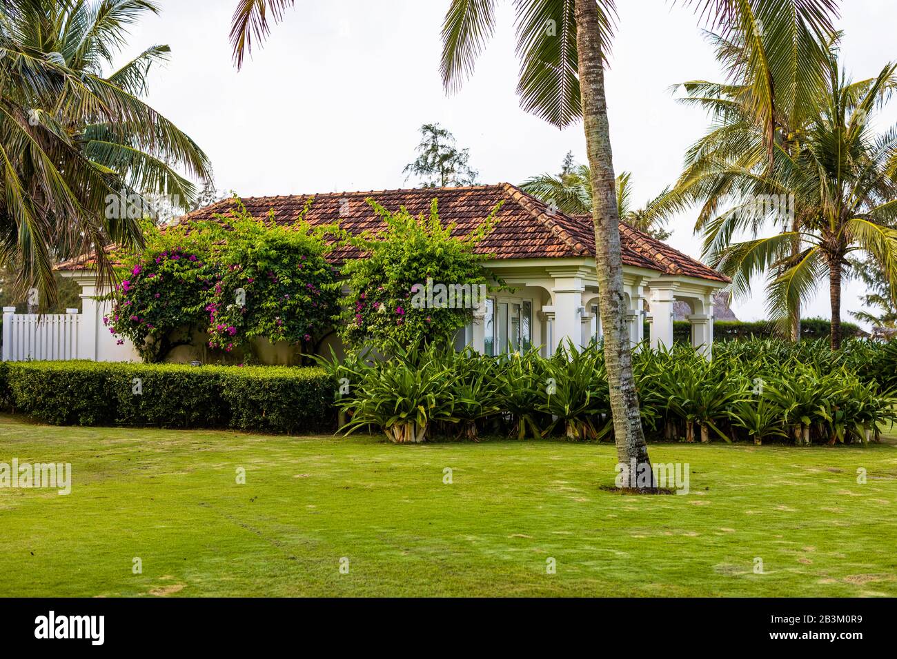 Beautiful landscape resort with palm trees Stock Photo - Alamy