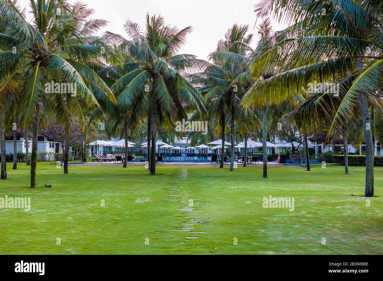 Beautiful landscape resort with palm trees Stock Photo - Alamy