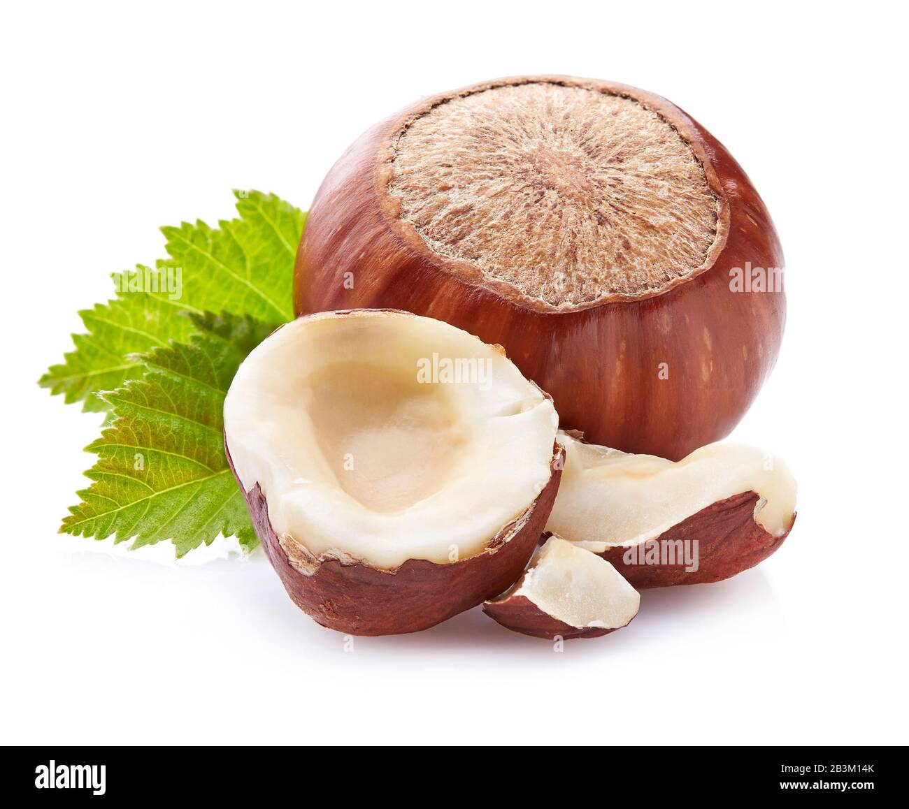 Filberts with leaves hi-res stock photography and images - Alamy