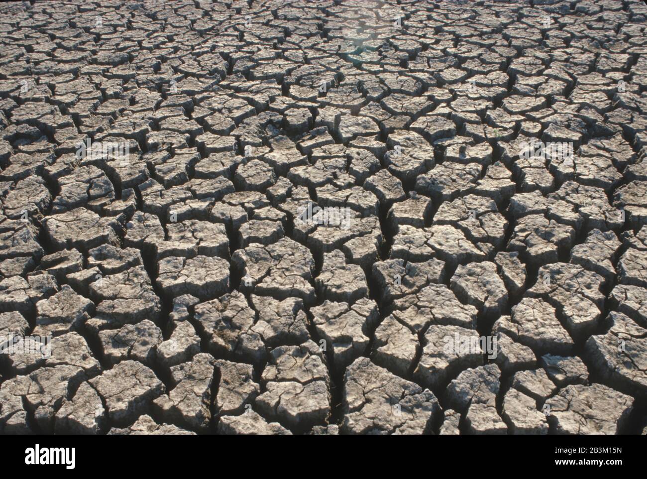Cracked earth landscape hi-res stock photography and images - Alamy