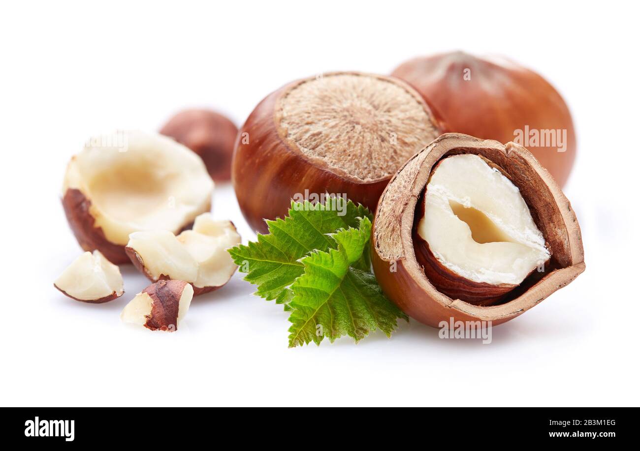 Filbert nut Cut Out Stock Images & Pictures - Alamy