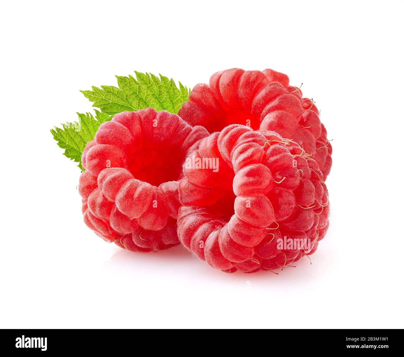 Raspberry with leaves Stock Photo - Alamy