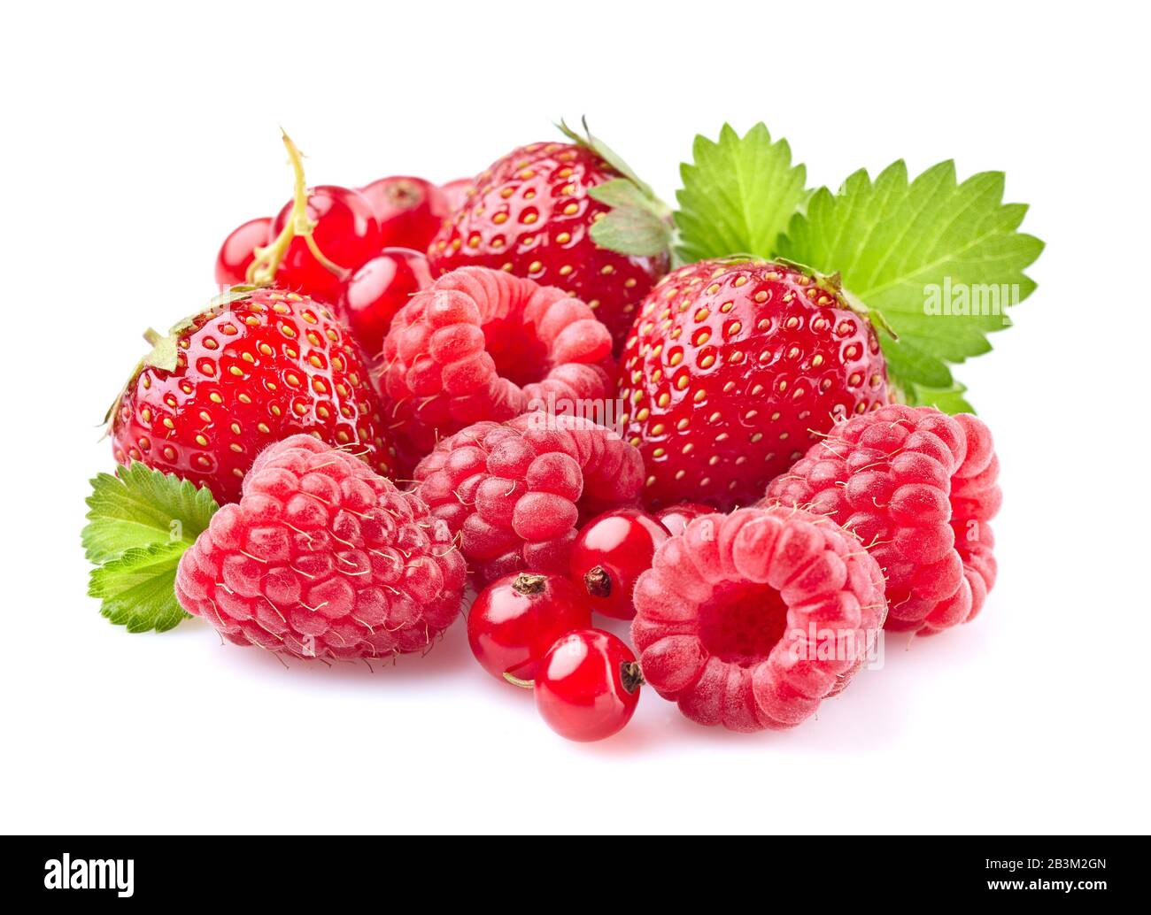 Red berries with leaves Stock Photo - Alamy