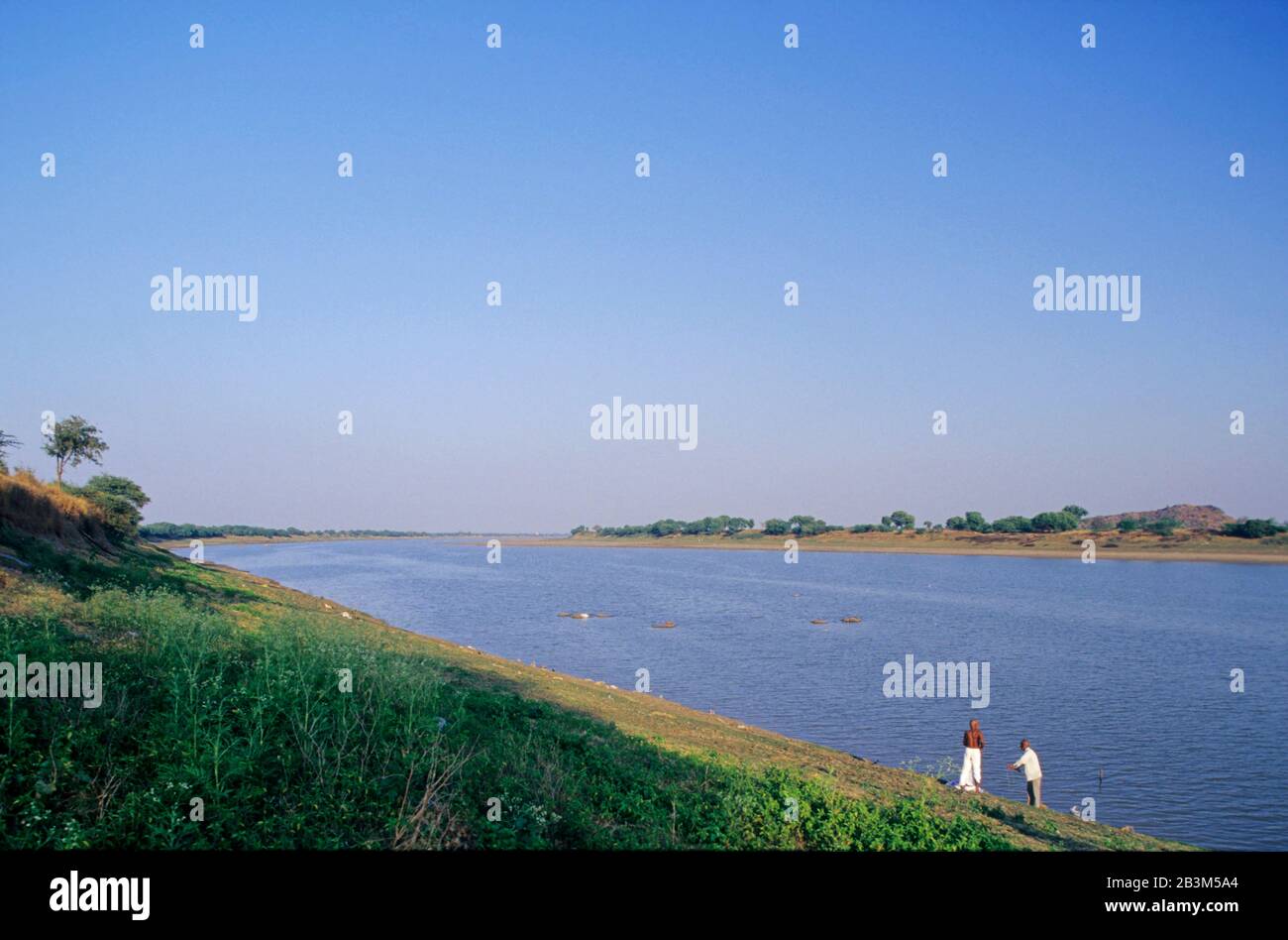 godavari river, basar, andhra pradesh, India, Asia Stock Photo - Alamy