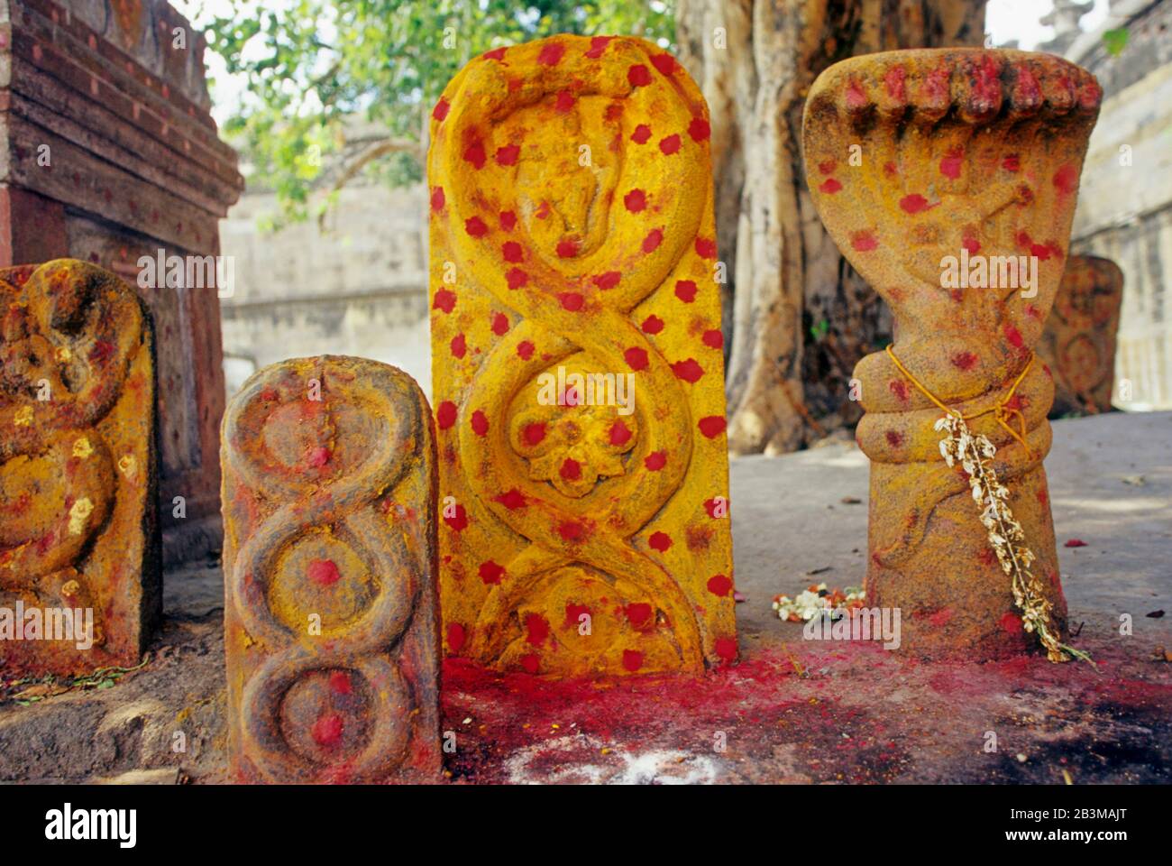 Nag temple hi-res stock photography and images - Alamy