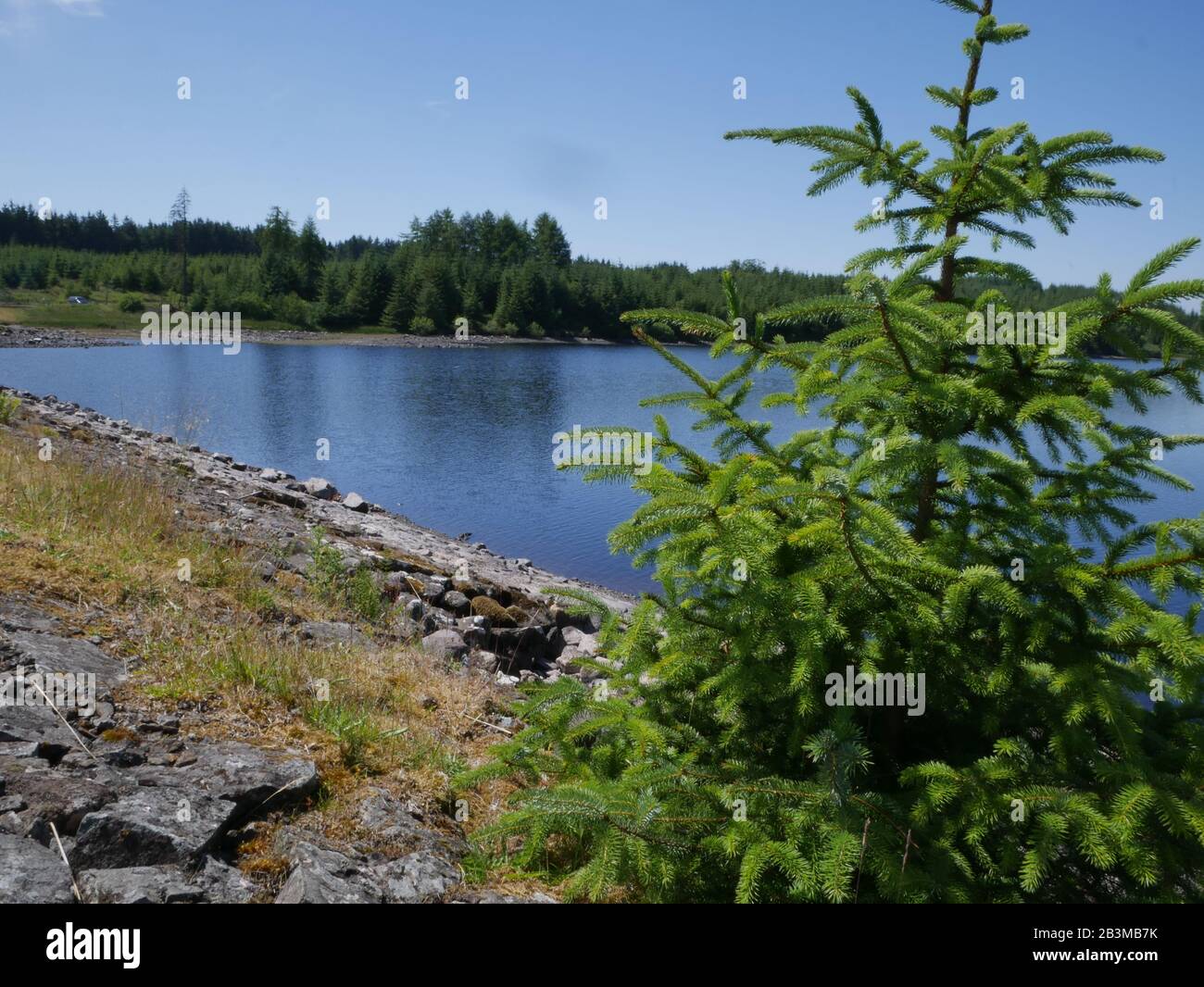 Loch Thom reservoir, Greenock, Scotland Stock Photo - Alamy