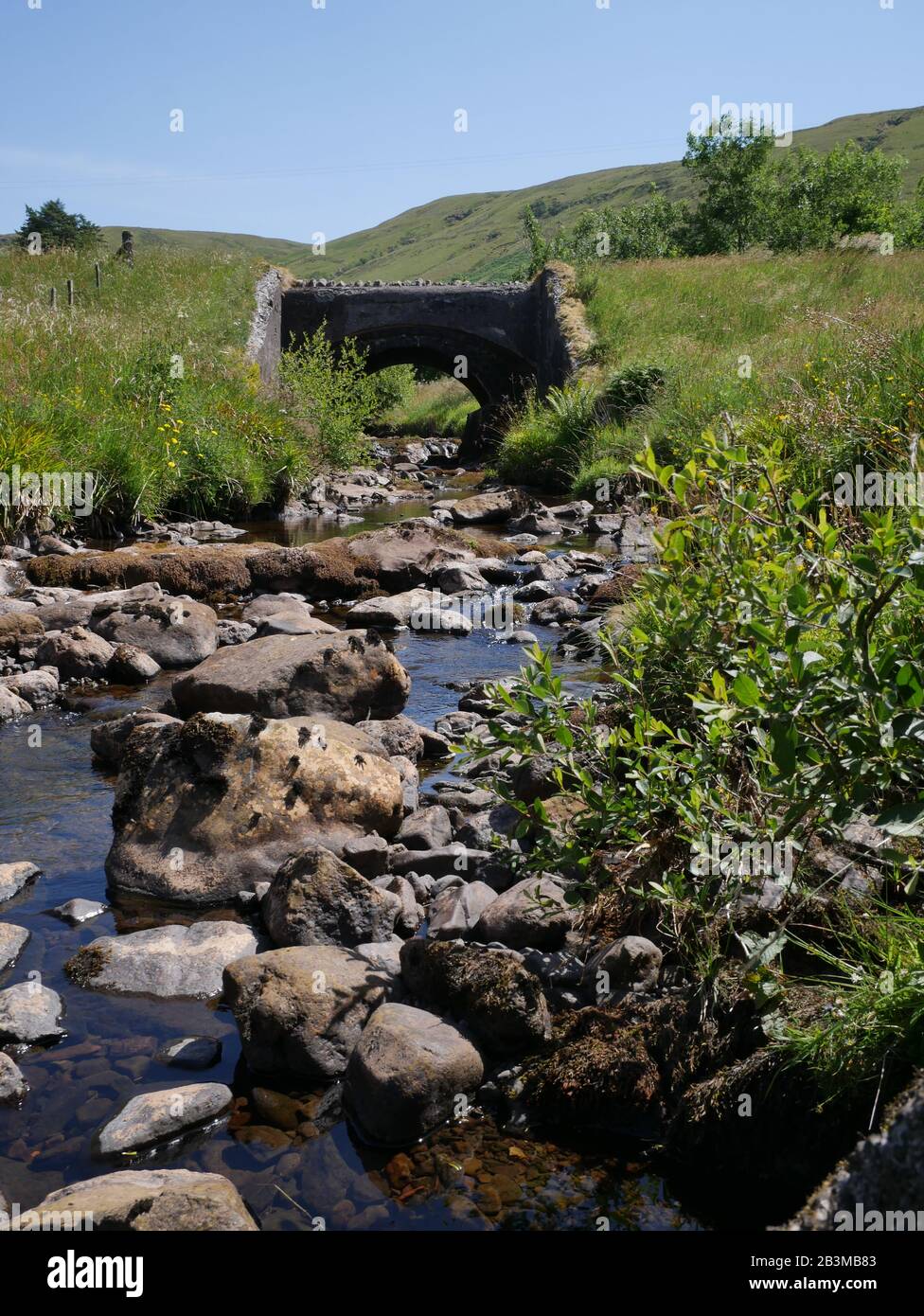 Mountain stream flowing in summer hi-res stock photography and images ...