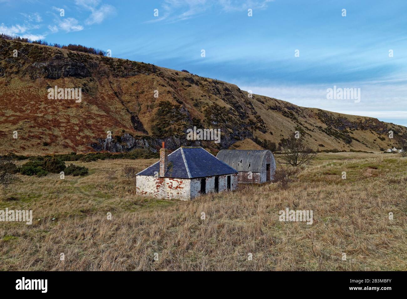 Angus bracken hi-res stock photography and images - Alamy