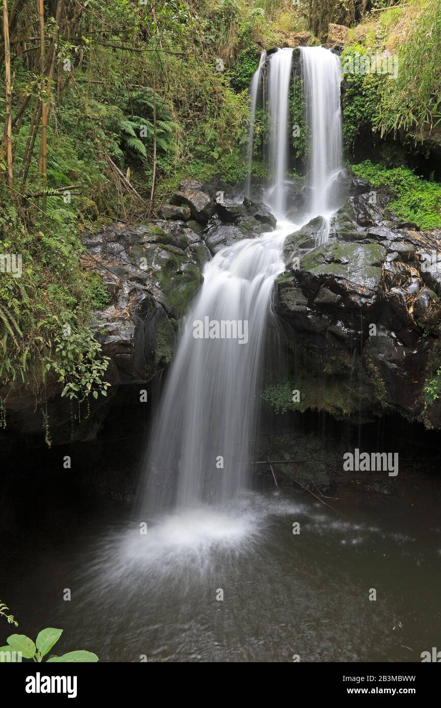 Gusa Waterfall Harenna Forest Bale Mountains Ethiopia Stock Photo - Alamy