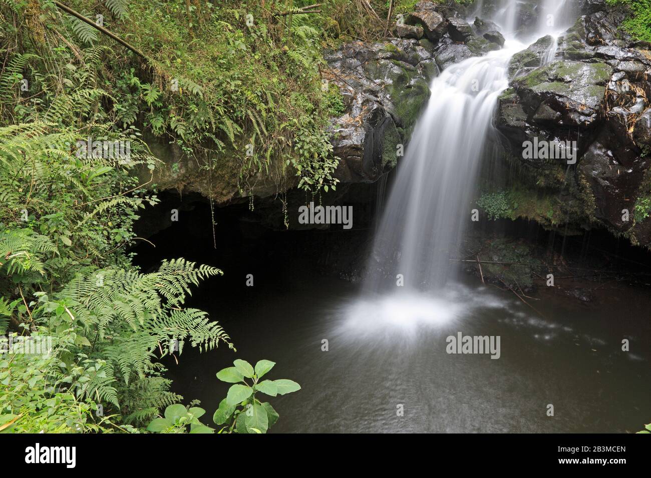 Gusa Waterfall Harenna Forest Bale Mountains Ethiopia Stock Photo - Alamy