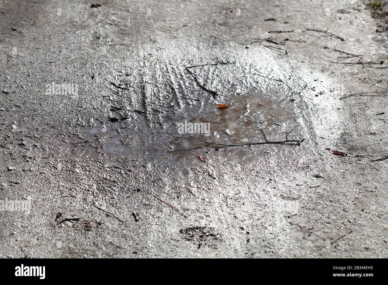 Puddle of water on a path against the light, mud Stock Photo - Alamy