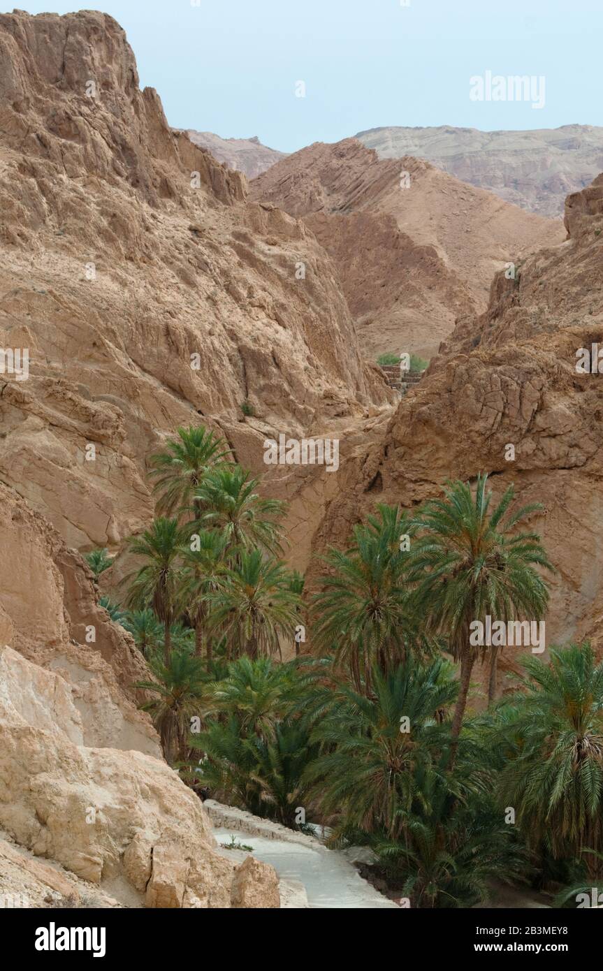 Mountain oasis Chebika is situated at the border of Sahara, Tunisia ...