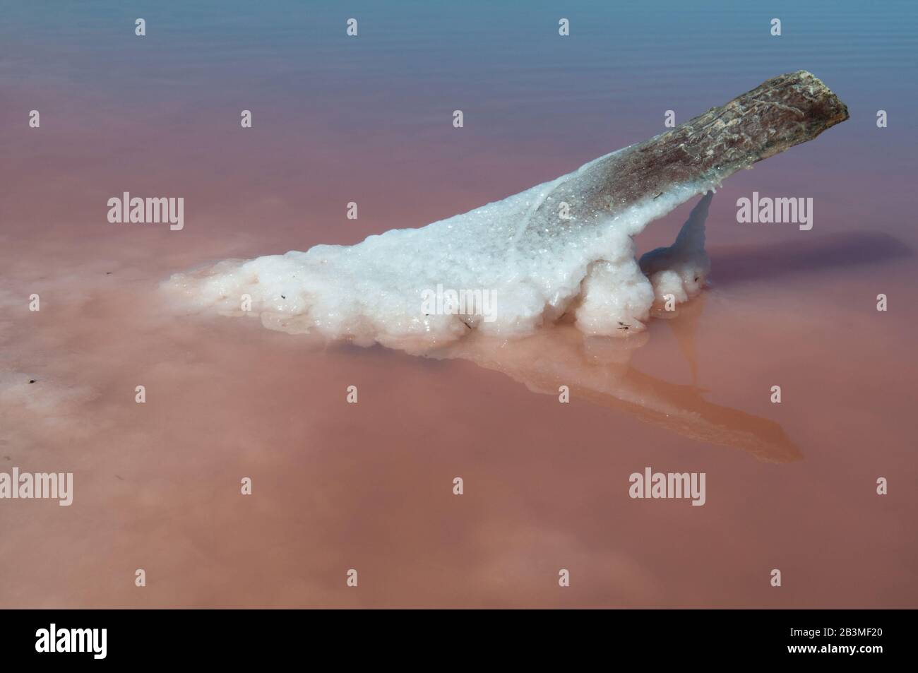 All objects in this lake covered with salt. Water contains minerals and ...