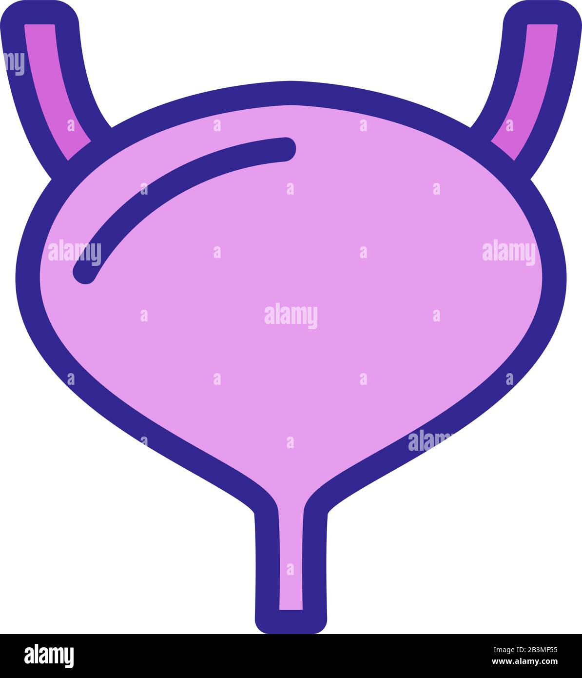 bladder icon vector. Isolated contour symbol illustration Stock Vector ...