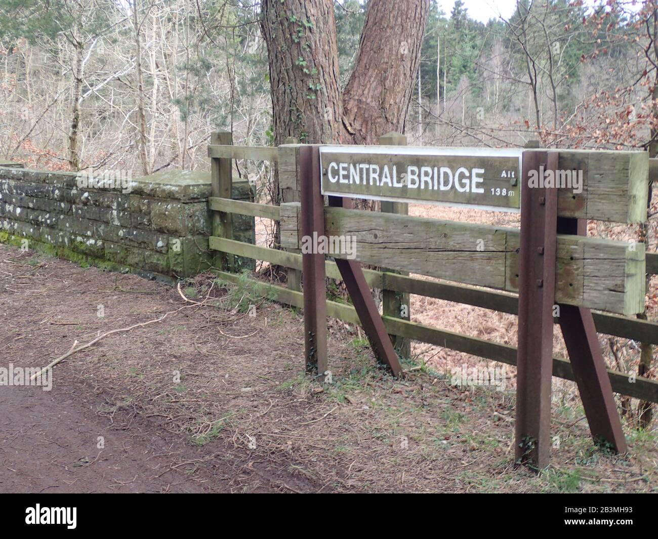 Cycle track Forest of Dean Stock Photo - Alamy