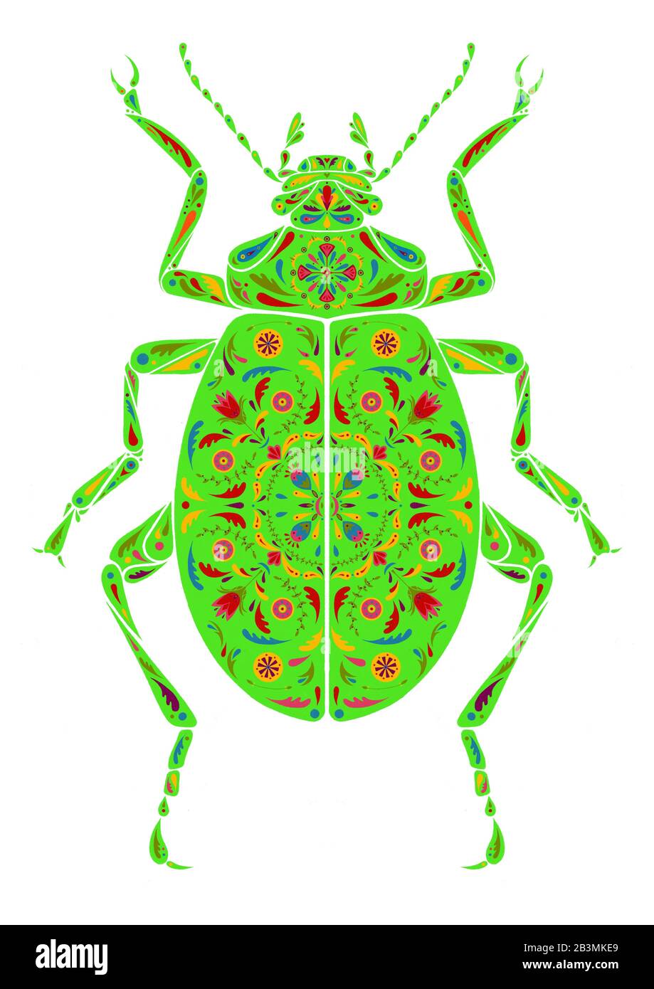 An illustration, a graphic with the juicy green beetle isolated on a ...