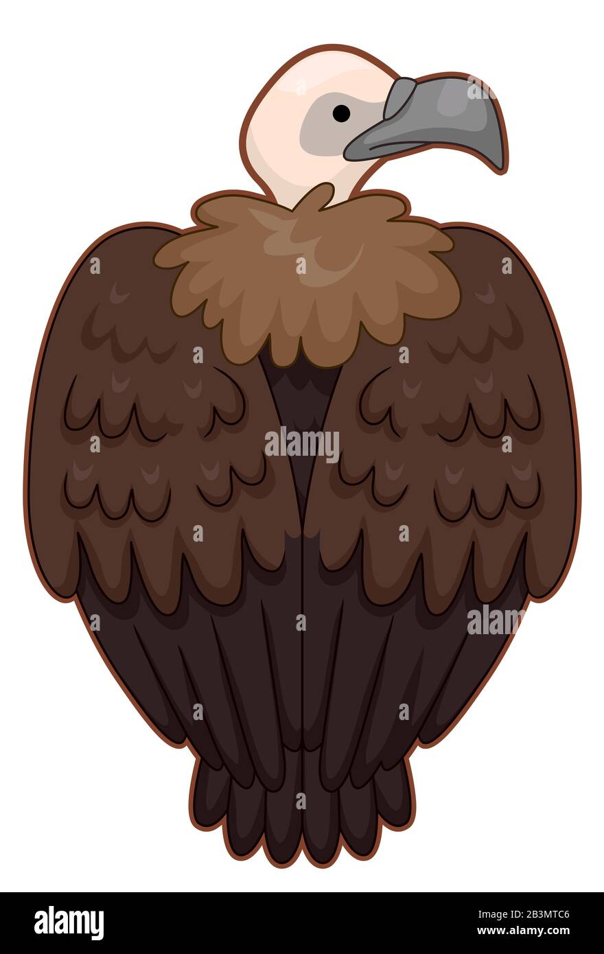 Rear View Illustration of a Vulture Bird Showing Its Feathers and Beak ...