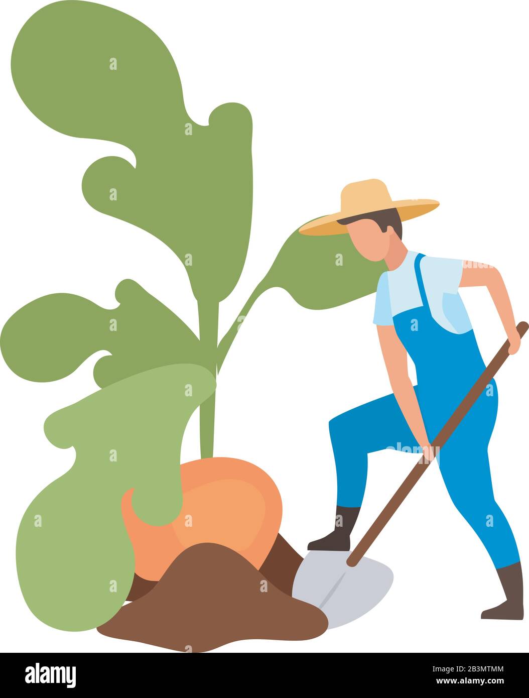 Autumn harvest flat vector illustration. Farmer harvesting big turnip ...