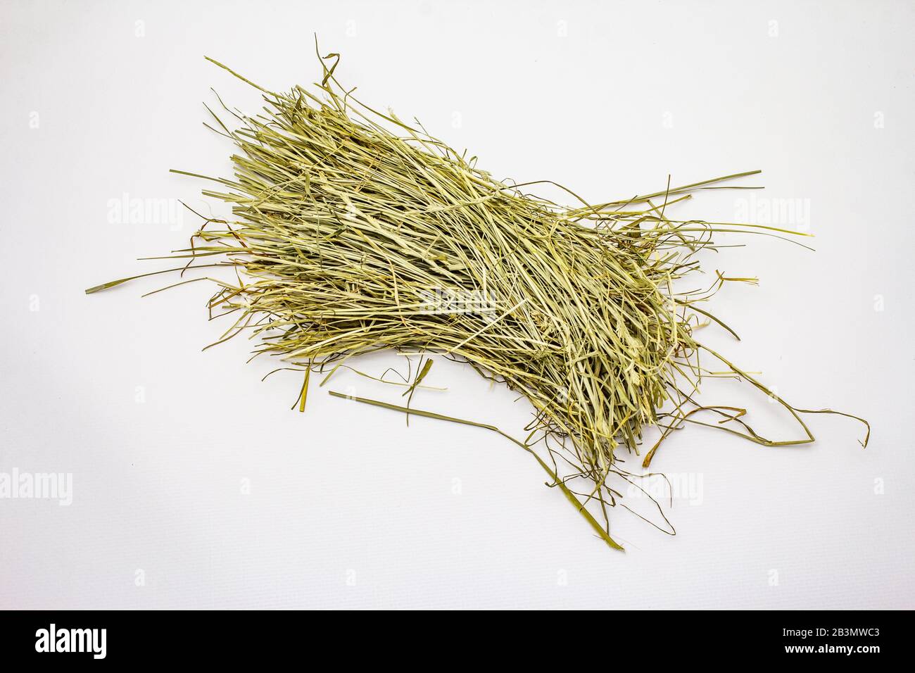Bunch of hay isolated on white background. Dry herbs, food for domestic ...