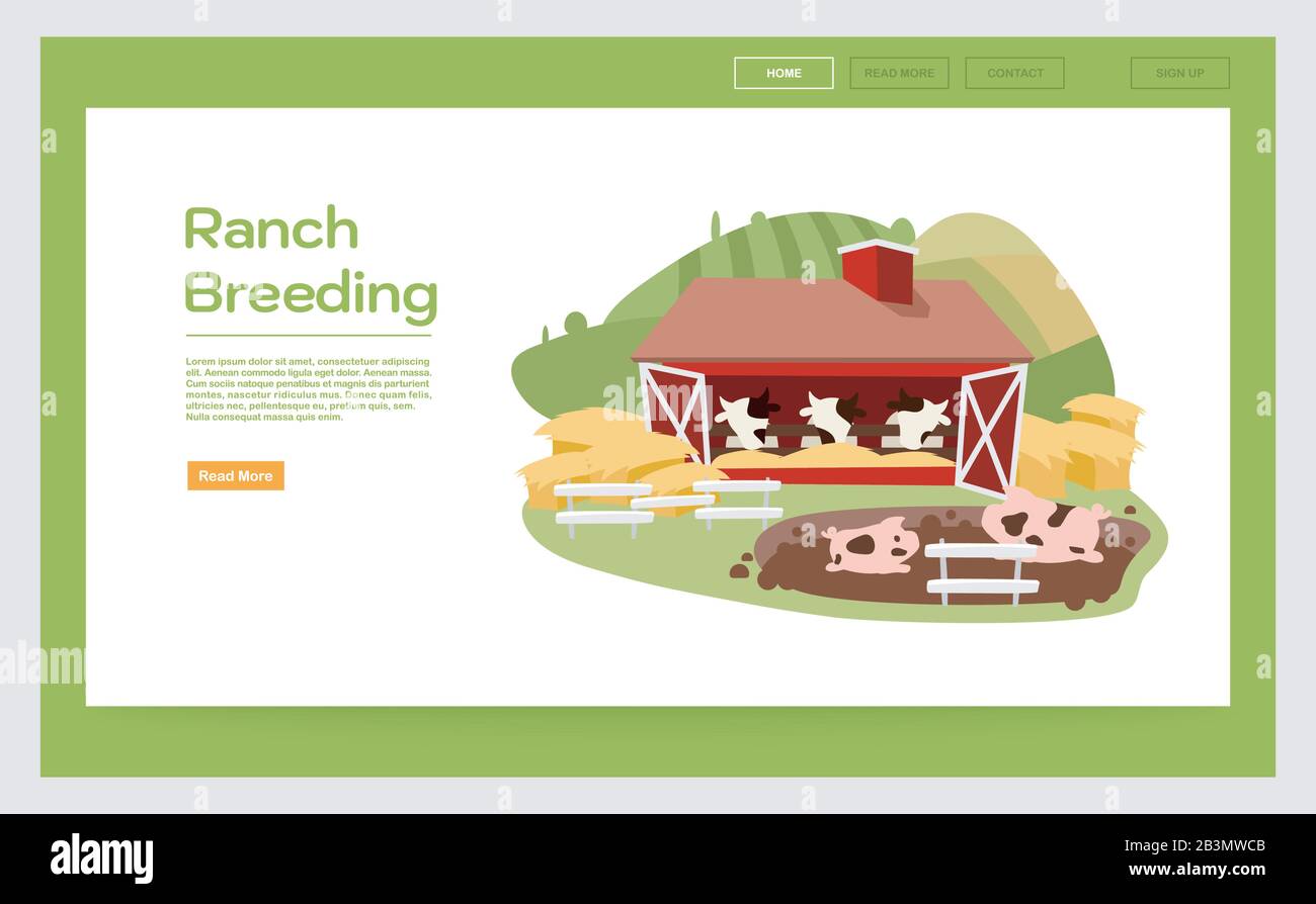 Ranch breeding landing page vector template. Livestock & cattle farming ...
