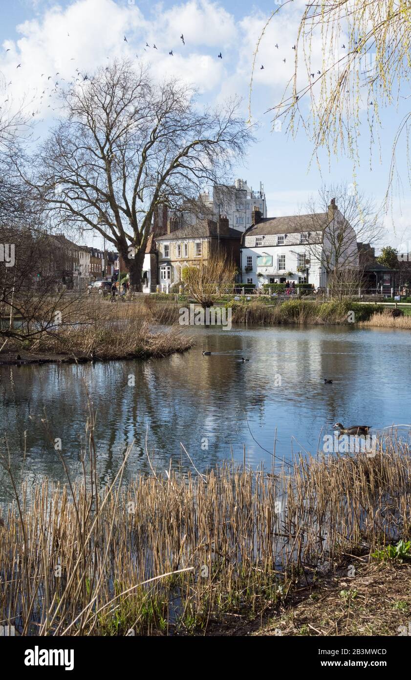 Barnes Pond High Resolution Stock Photography and Images - Alamy