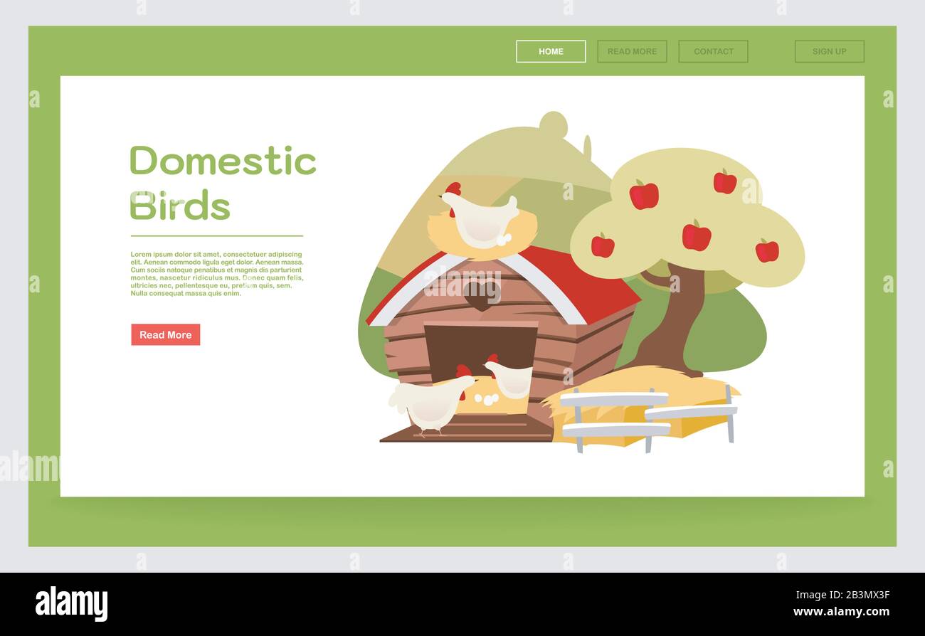 Chicken farming central america Stock Vector Images - Alamy