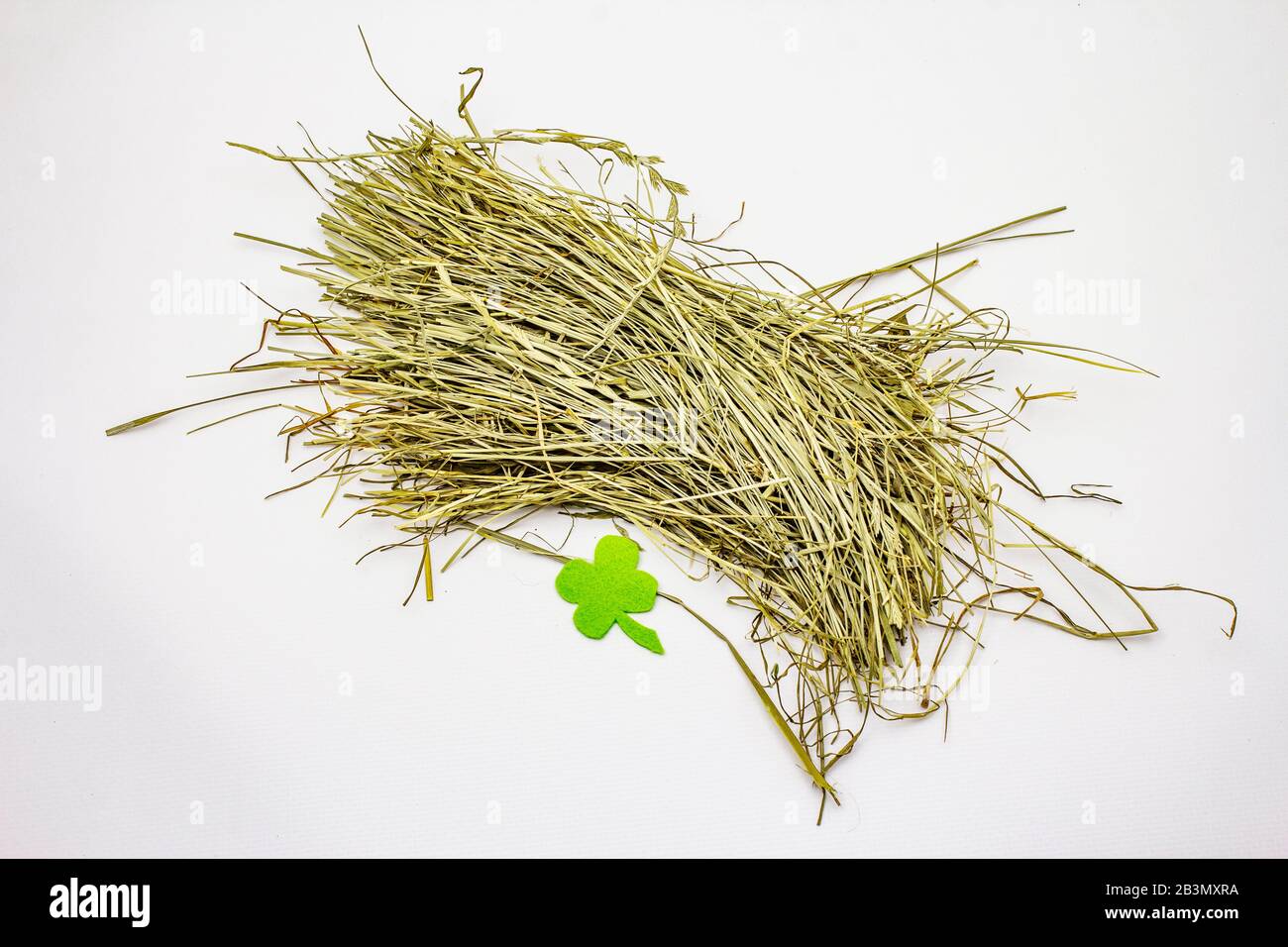 Bunch of hay isolated on white background, felt clover leaf. Dry herbs ...