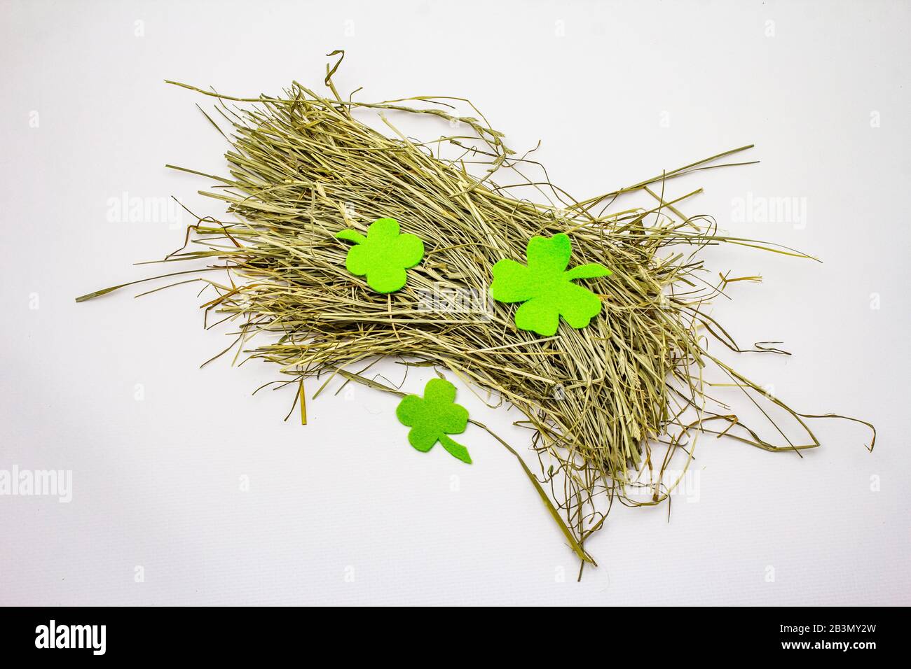 Bunch of hay isolated on white background, felt clover leaves. Dry ...
