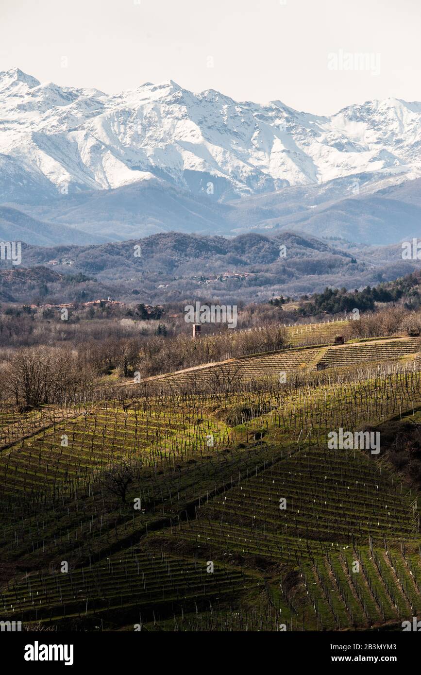 Gattinara hi-res stock photography and images - Alamy