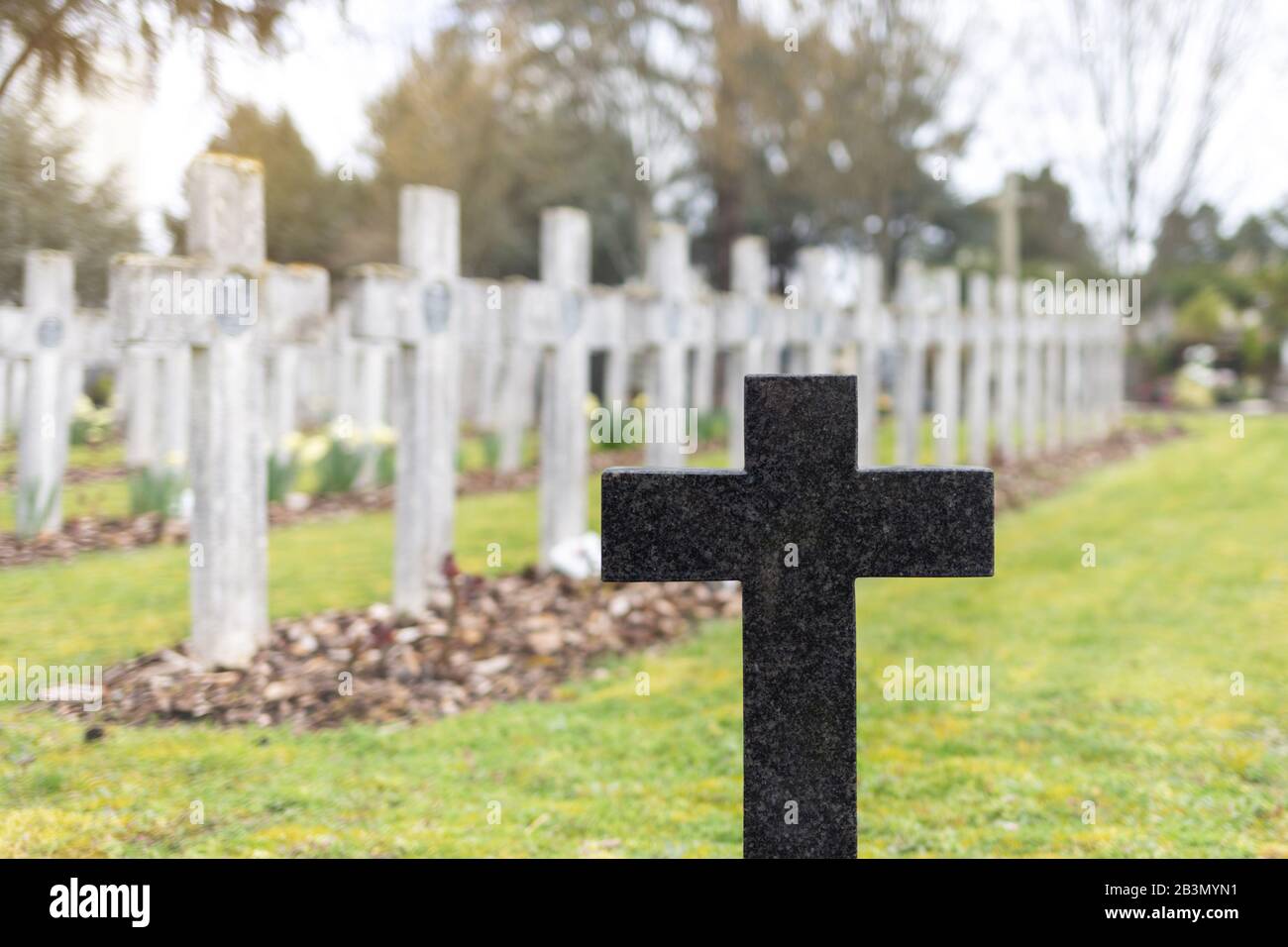 planty tombstone cross grave maker standing in cemetery, white crosses ...