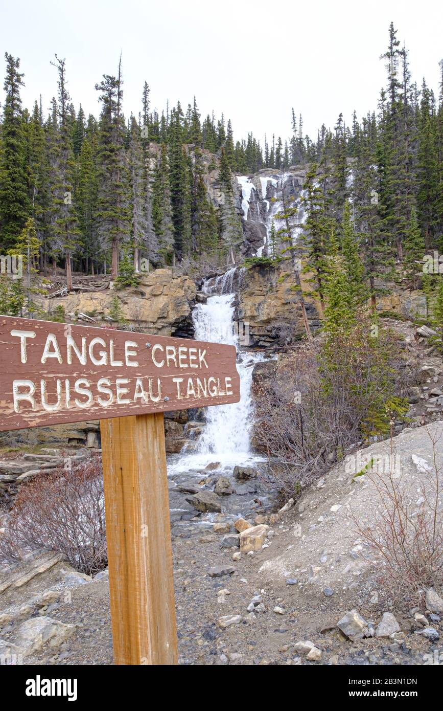 Cascading Tangle Creek Falls in Jasper National Park, Alberta, Canada ...